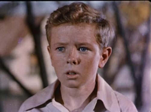 Balladeer's Blog | Singing the praises of things that slip through the ...