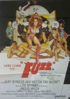 FUZZ (1972) – MOVIE REVIEW | Balladeer's Blog