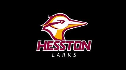 COOL-NAMED SPORTS TEAM: HESSTON COLLEGE | Balladeer's Blog