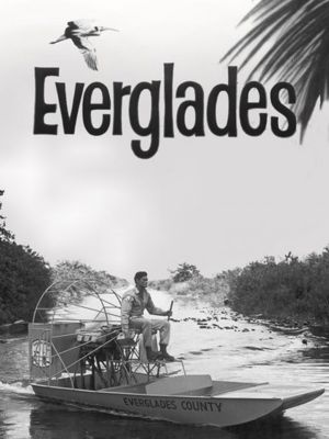 EVERGLADES (1961-1962) FORGOTTEN TELEVISION | Balladeer's Blog